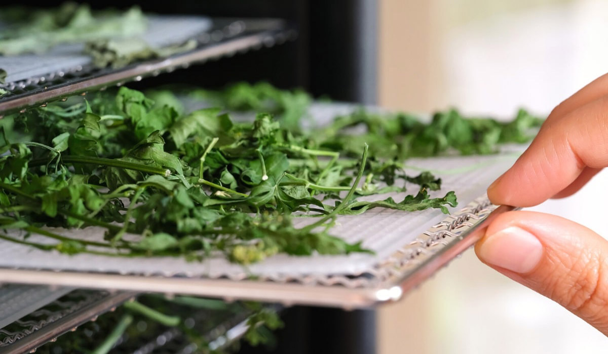 How to Make Jerky in a Food Dehydrator - Dalle