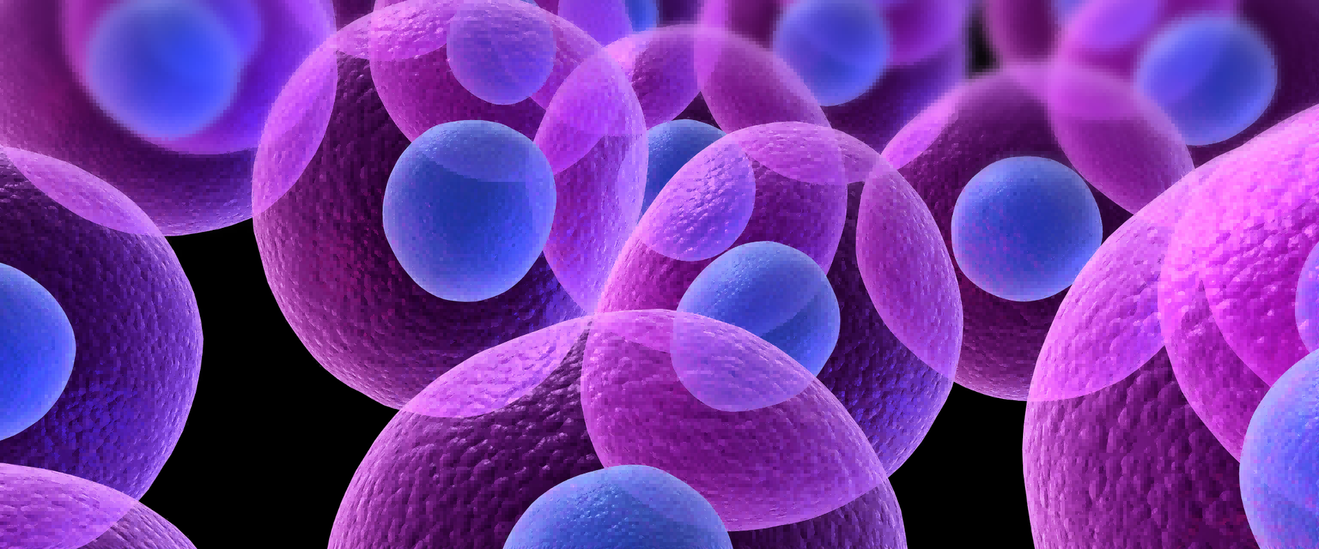 Advanced Single B Cell Sorting Platform for Antibody Development ...