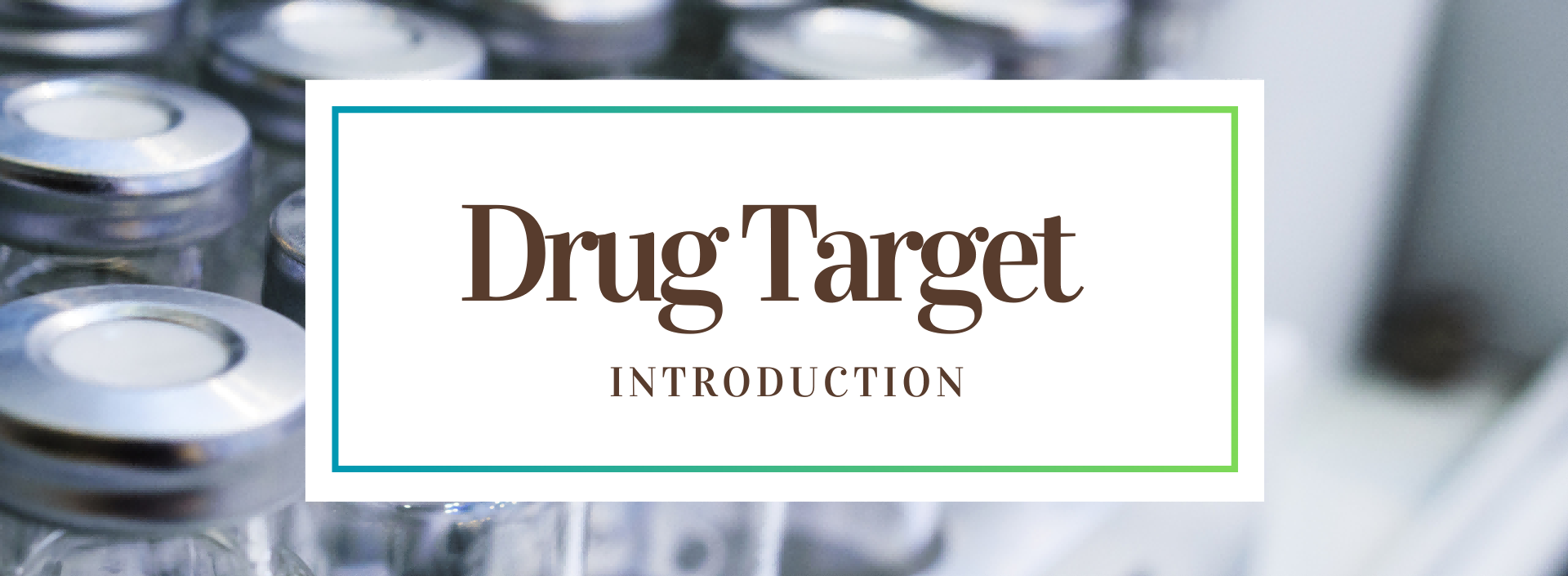 IL2RA/CD25 Target Antibody for Research Applications - Alpha Lifetech