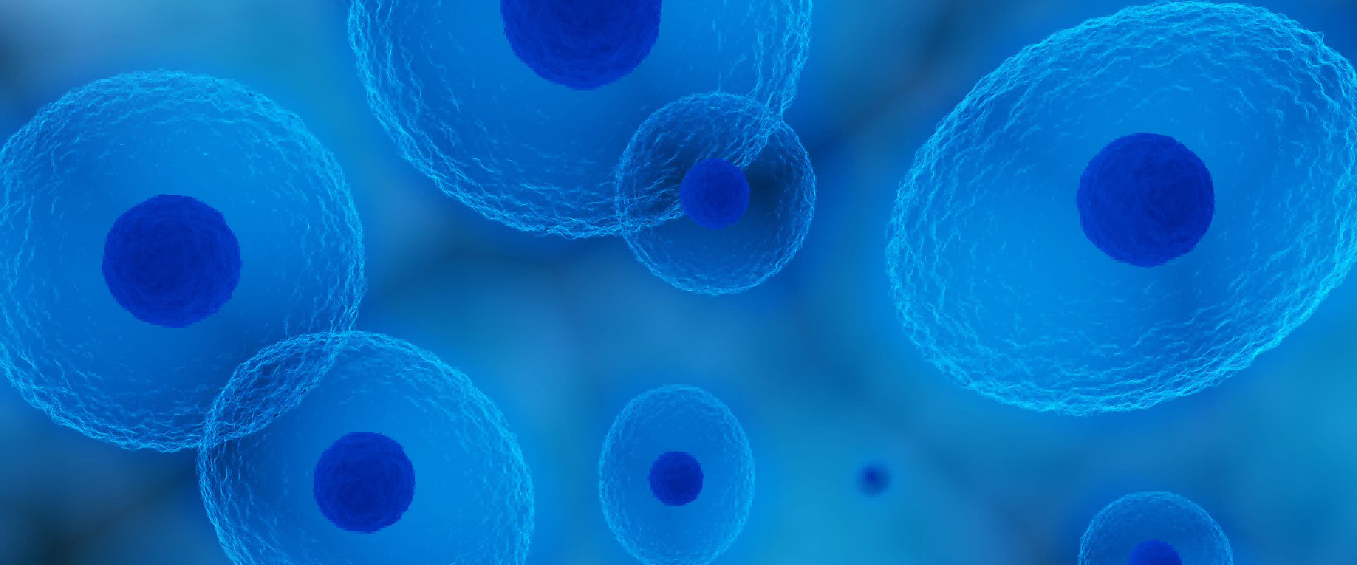 Essential Guide to Cancer Cell Lines Culture Protocols - Alpha Lifetech