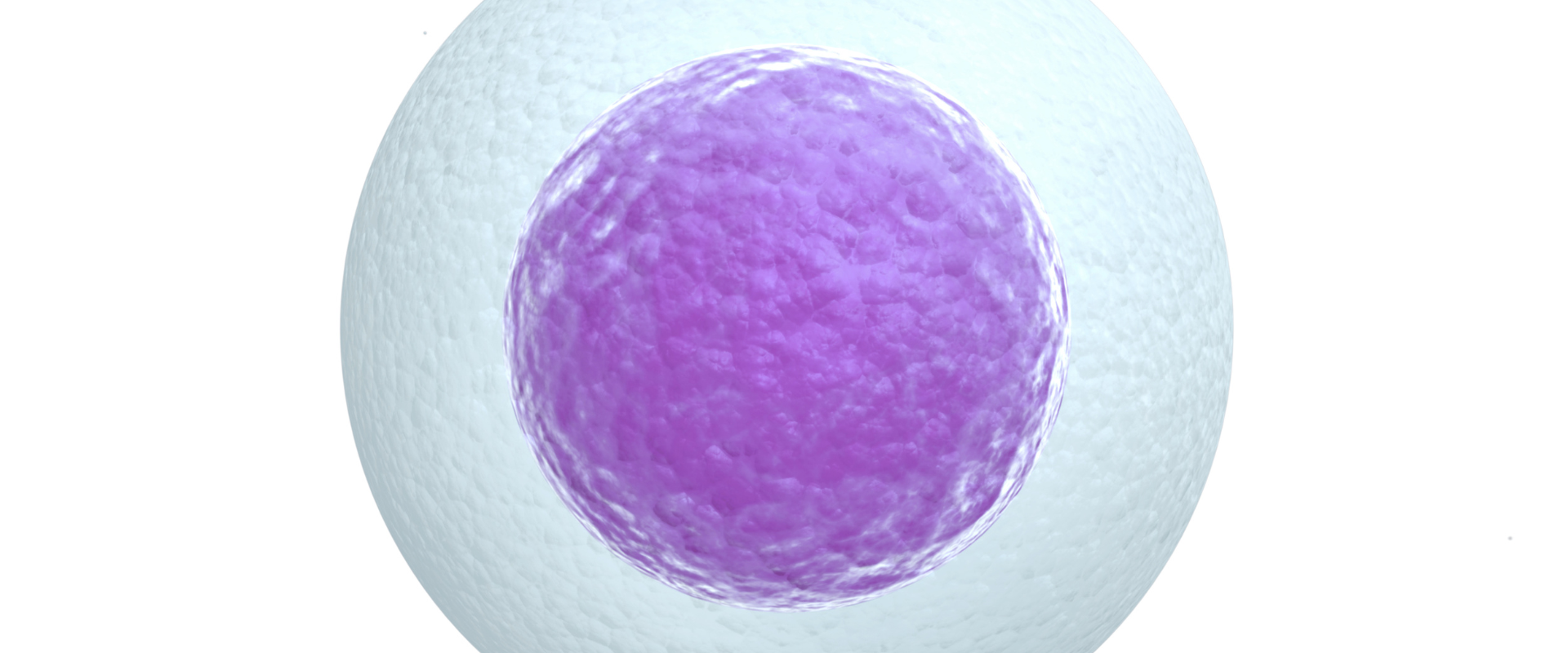 Guide to Stable Cell Line Construction: Protocols & FAQs - Alpha Lifetech