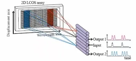 Understanding Reflex: Insights into Its Importance and Function