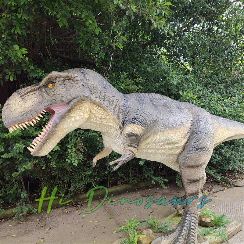 Lifelike T-rex Animatronics Dinosaur For Sale | Hidinosaurs