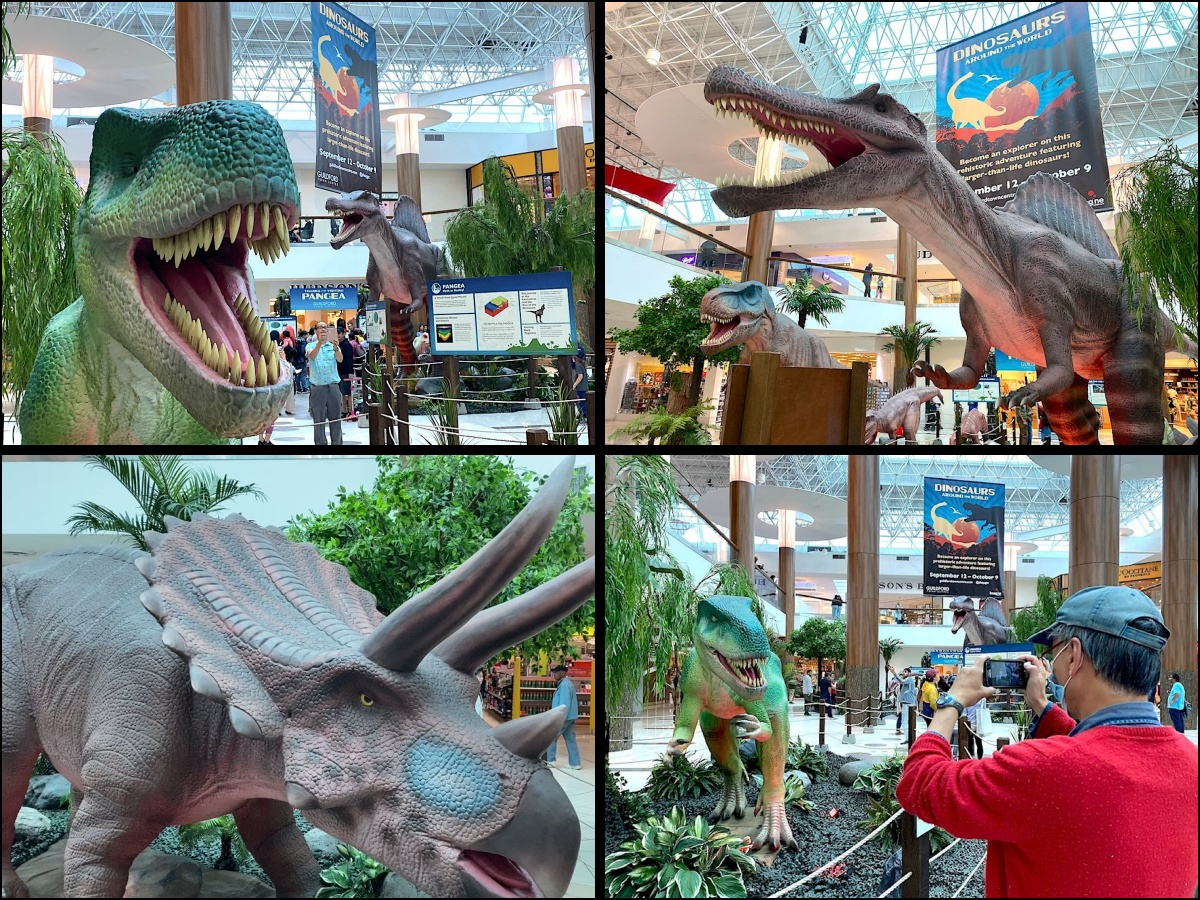 Revitalize Shopping Malls with Animatronic Dinosaur Exhibitions ...