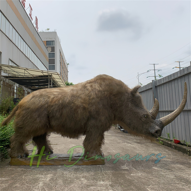 Realistic Animatronic Woolly Rhino - Perfect for Museums & Exhibitions | Hidinosaurs