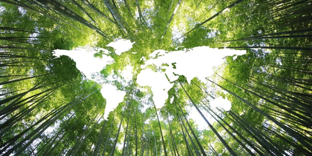 Pharmaceutical Packaging, Food Packaging, Cold Aluminum - HySum