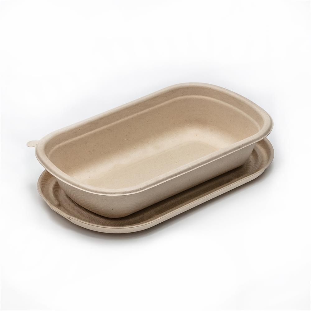 Best Eco-friendly Products 2023 Sugarcane Bagasse Disposable ...