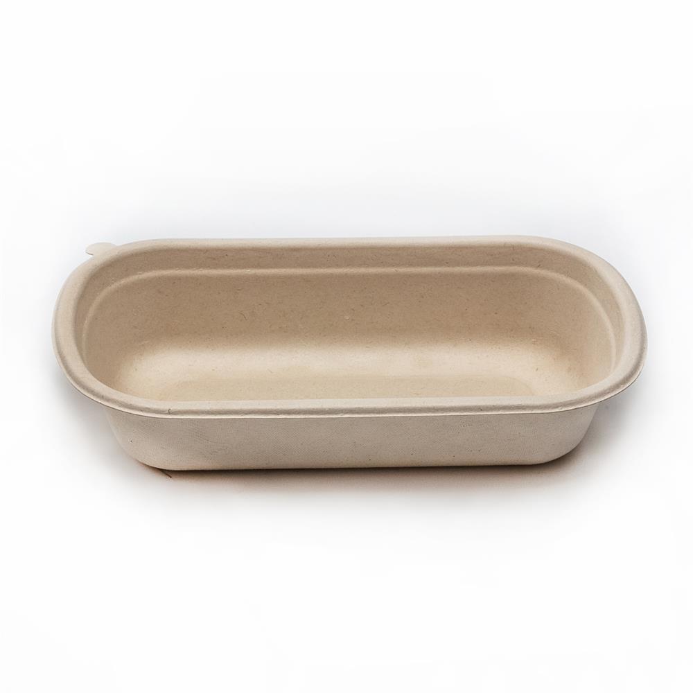 Best Eco-friendly Products 2023 Sugarcane Bagasse Disposable ...