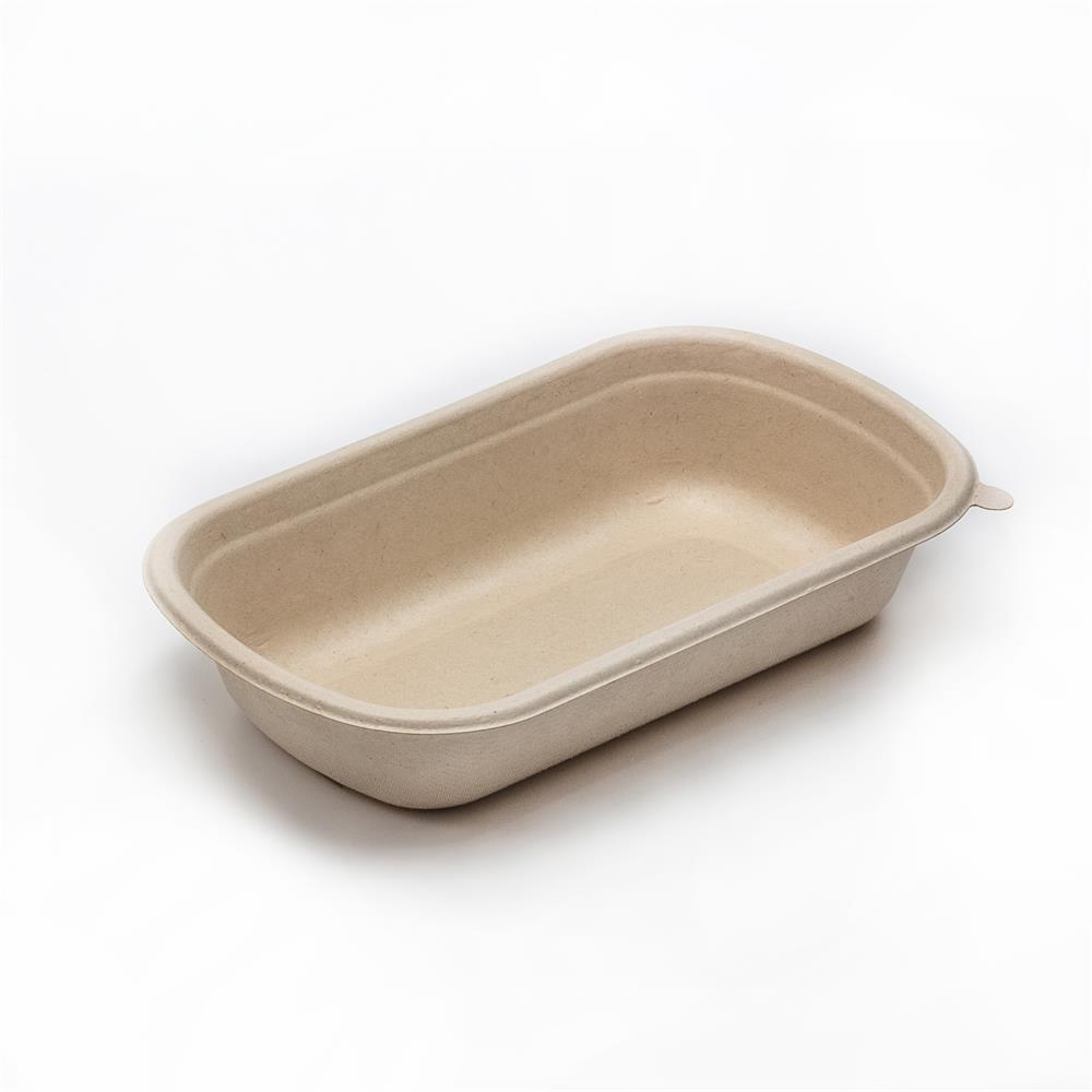 Best Eco-friendly Products 2023 Sugarcane Bagasse Disposable ...