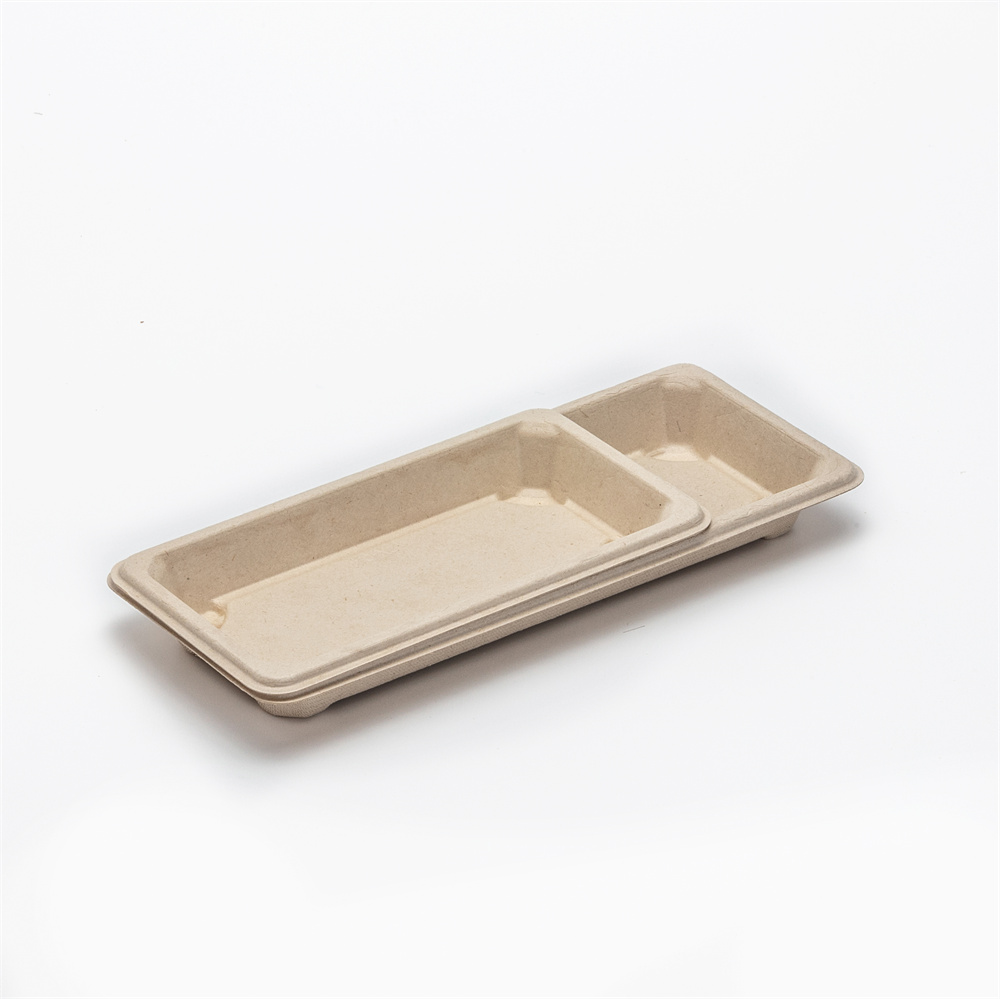 Best Eco Friendly Products 2023 Compostable Bagasse Food Serving Tray ...