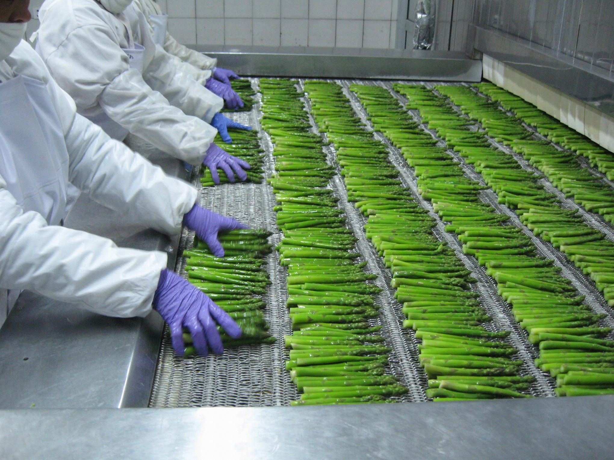 What Does IQF Stand for in Food? - SHUNDI