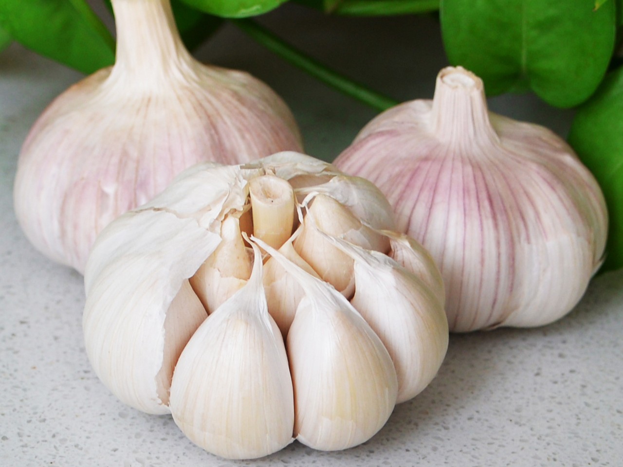 Qu'est-ce qu'une gousse d'ail ? - SHUNDI