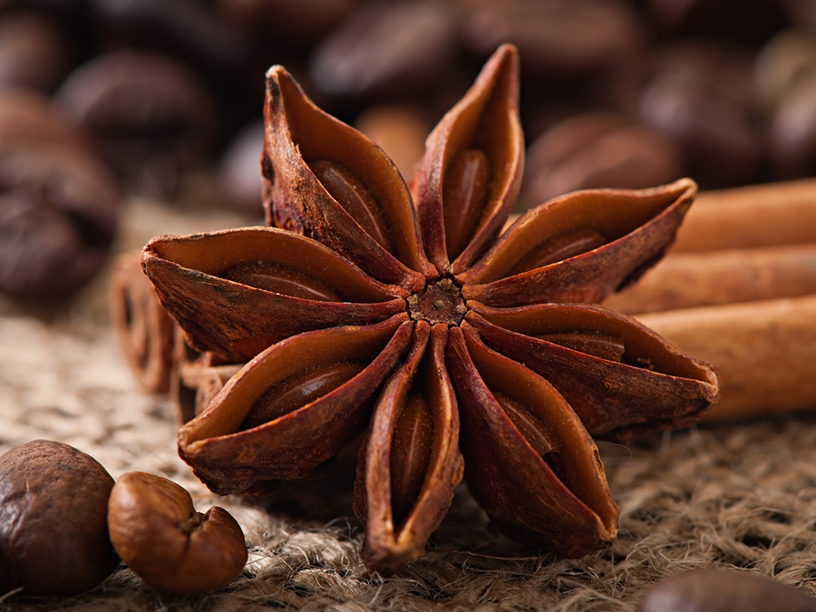 L'anis étoilé 101 : Tout ce que vous devez savoir - SHUNDI