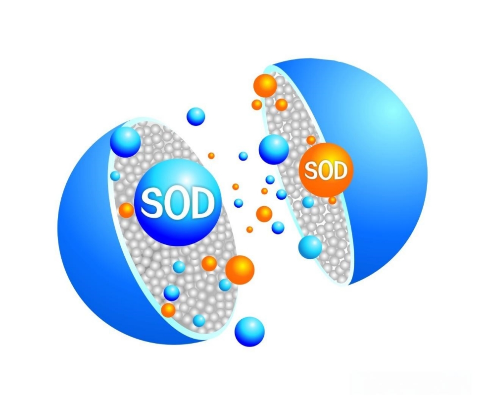 The Most Commonly Used Spices are Both Anti-inflammatory and ...