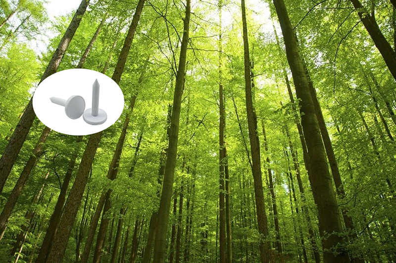 RFID protection of rare trees is being tested in this area, and ...