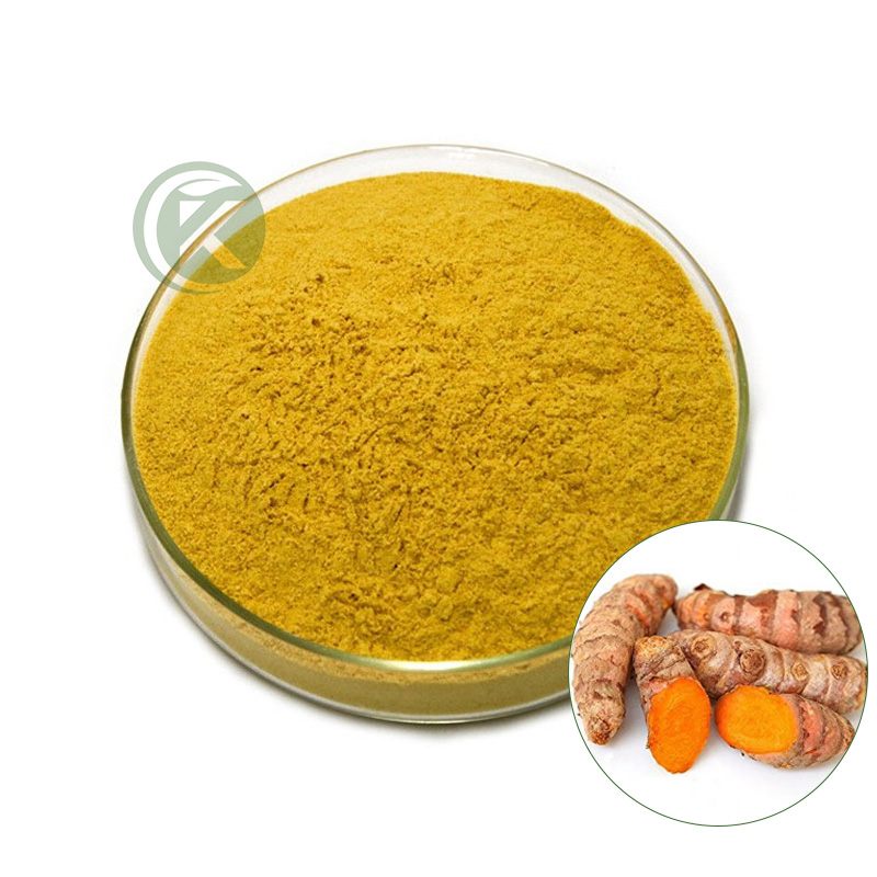 China Turmeric Yellow Powder-1 Manufacturer, Factory | Kintai