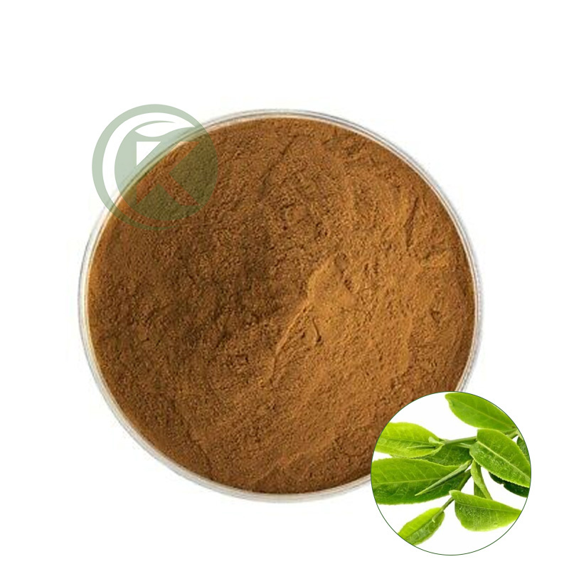 China Best Green Tea Extract Tea Polyphenols Powder Manufacturer ...