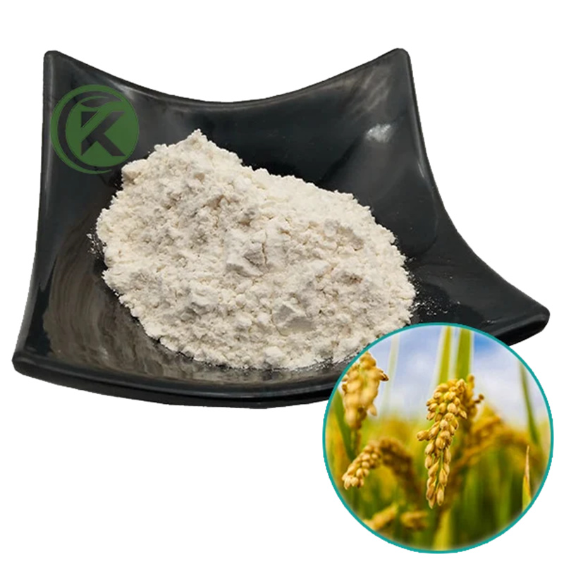 China Wholesale Bulk Ferulic Acid Powder Manufacturer, Factory | Kintai