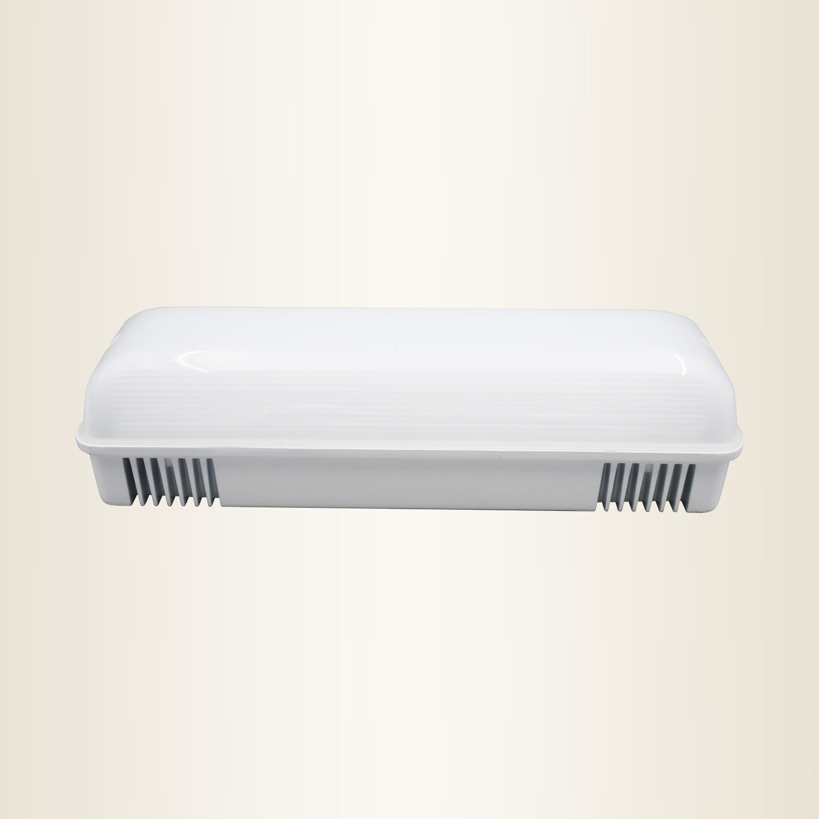 China 370 Emergency Bulkhead Type LED Emergency Luminaries (10W&20W ...