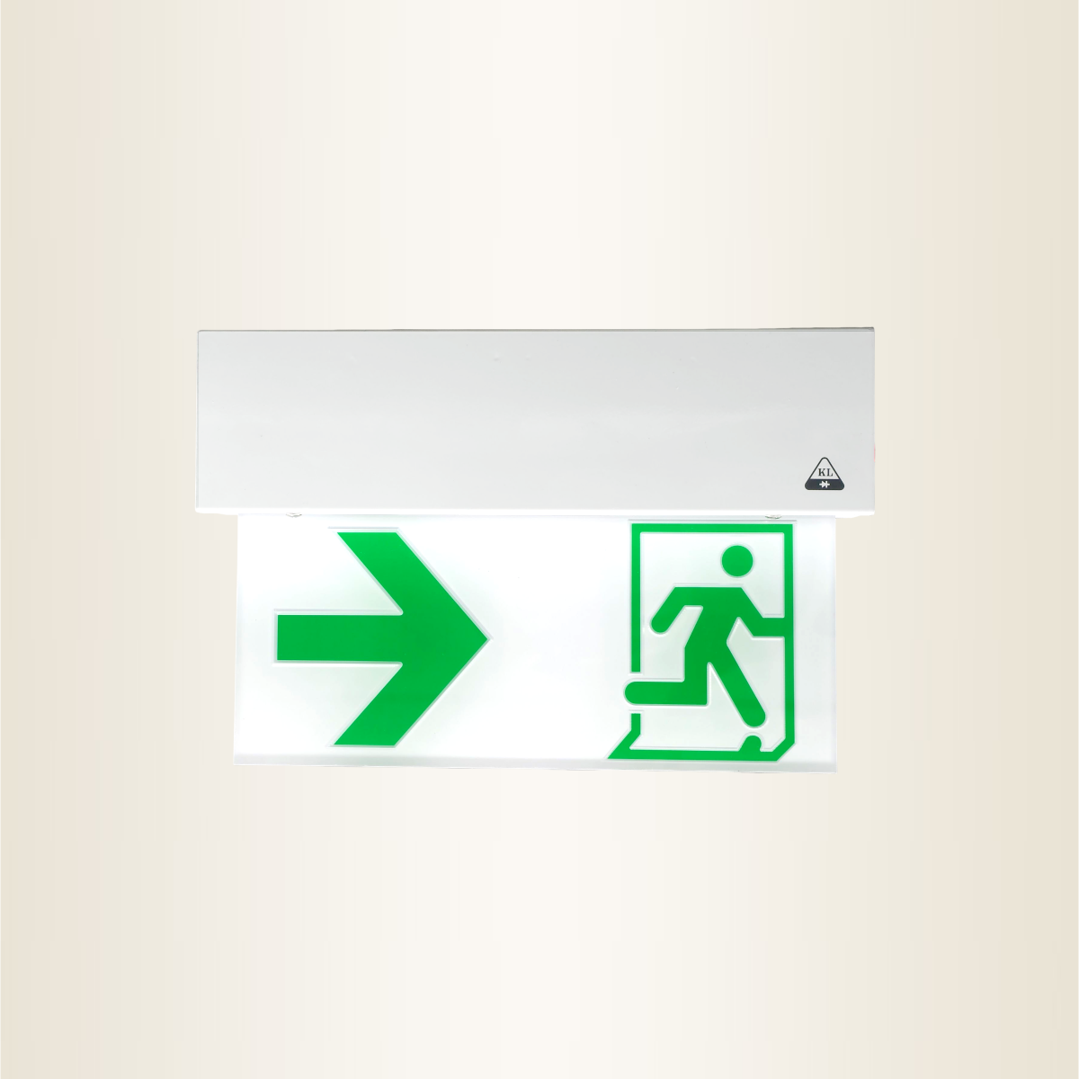 China 350 Surface Mounted Emergency Exit Sign Manufacturer, Factory | Kaili