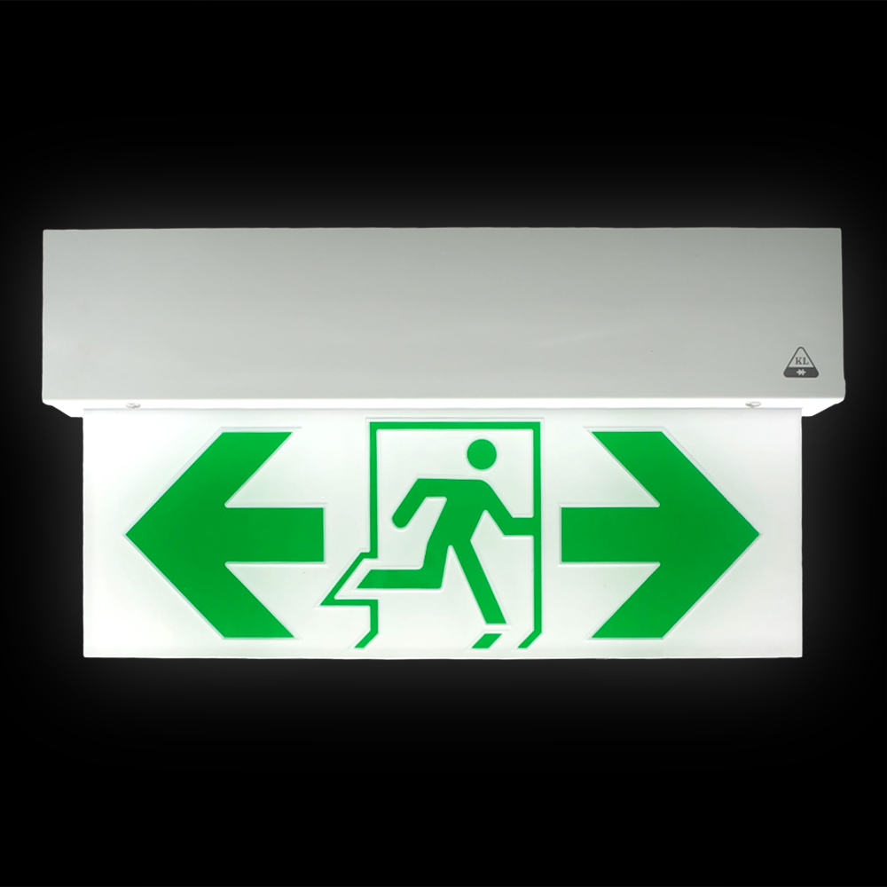 China 450 Surface Mounted Emergency Exit Sign Manufacturer, Factory | Kaili