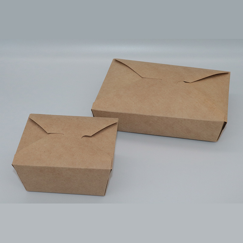 (ZCP) Professional custom color printing packaging box