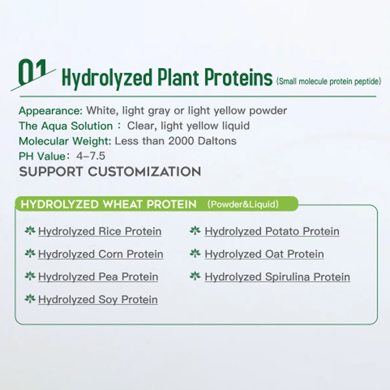 China All Natural Vegan Hydrolyzed Corn Protein Powder For Hair Care ...