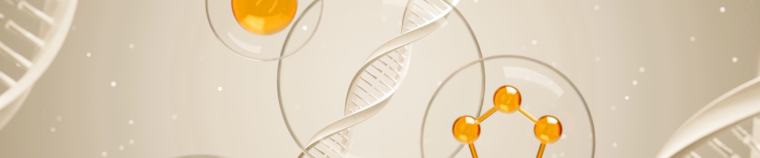 Hydrolyzed Rice Protein: The Clean Beauty Secret Ingredient - Le-Nutra