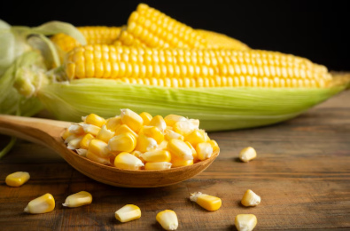 Brands Embrace Hydrolyzed Corn Protein for Clean-Label Trends - Le-Nutra