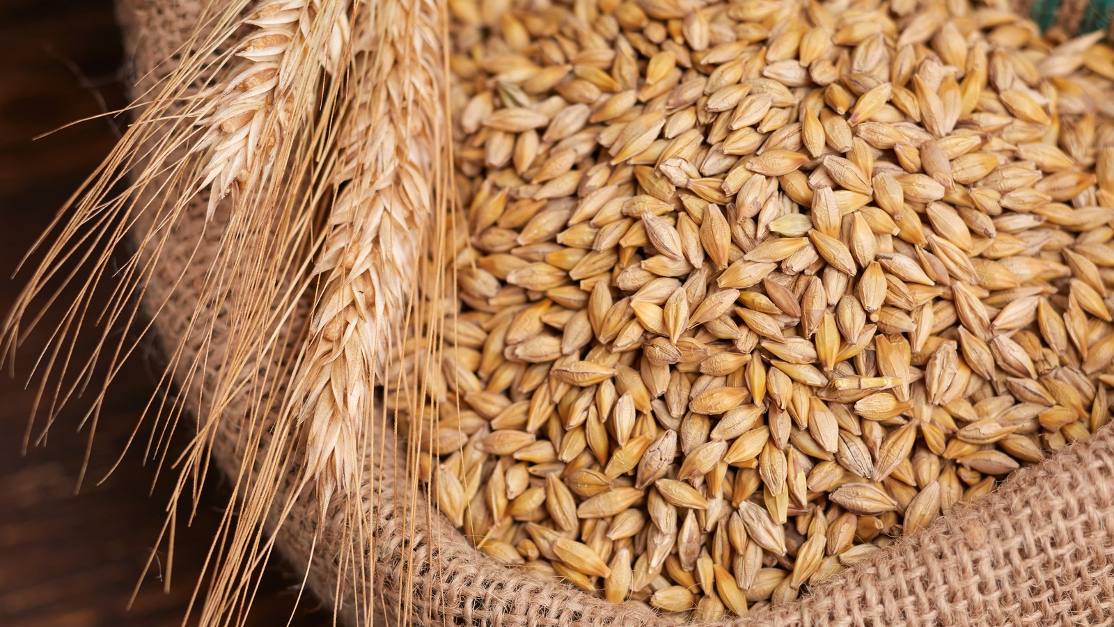 Is Hydrolyzed Wheat Protein Superior to Soy, Pea, or Rice? - Le-Nutra