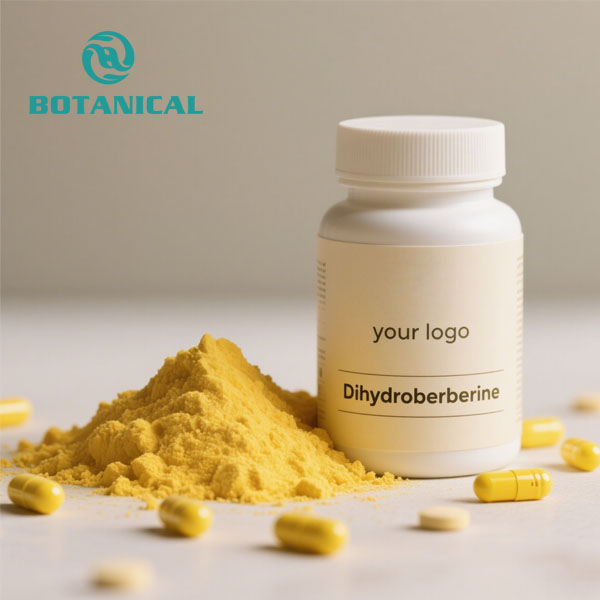 High-Quality Dihydroberberine HCl Powder - Blood Sugar & Anti-Aging ...