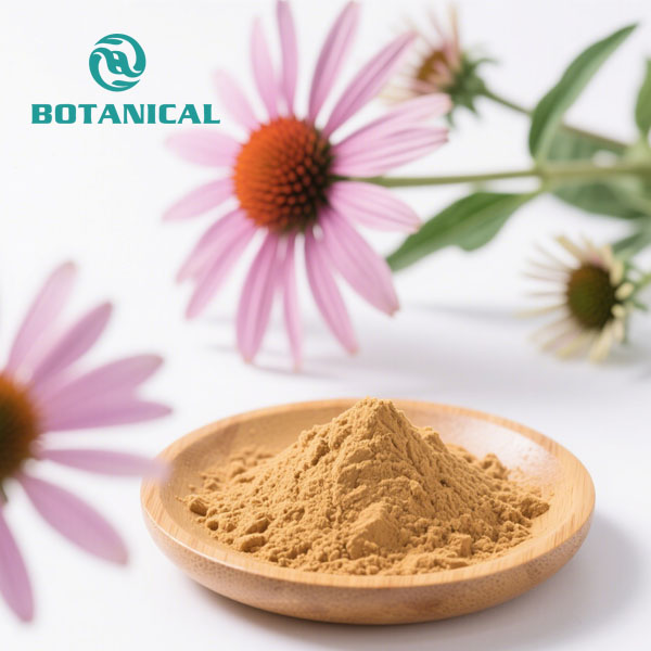 High-Quality High-Potency Echinacea Extract Powder | Standardized ...