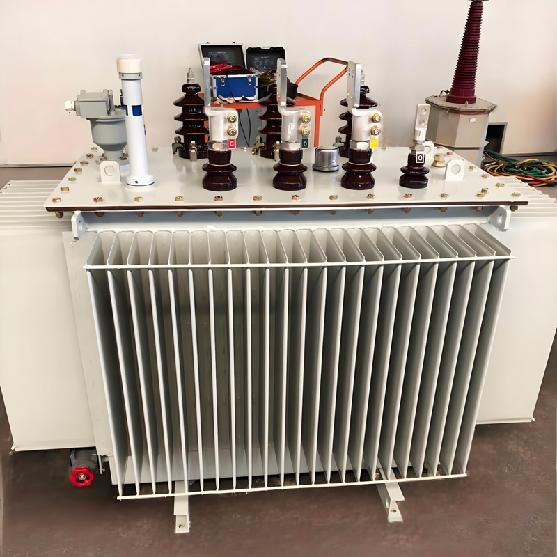China 10~35kV Three Phase Oil Immersed Power Transformer Manufacturer, Factory | Tianan
