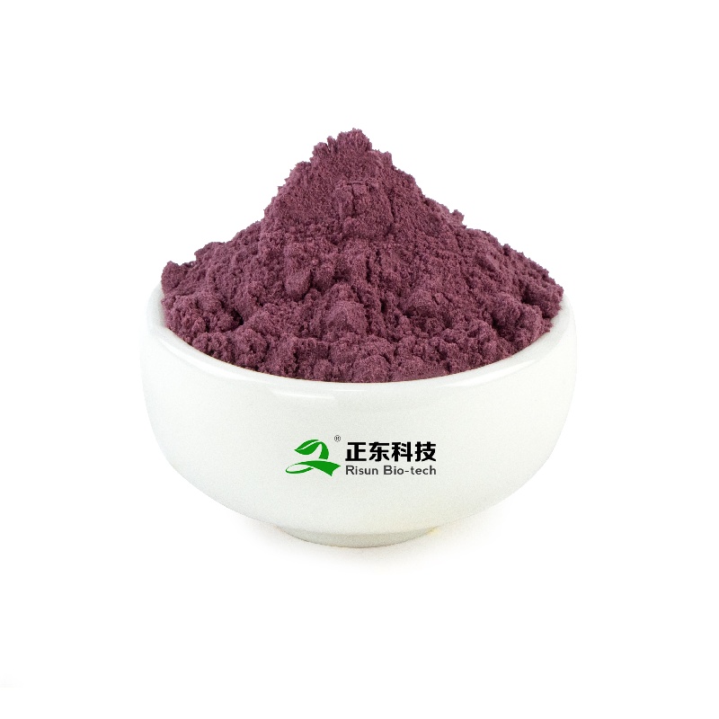 Mulberry Powder | Natural Anthocyanin Concentrated Juice Powder ...