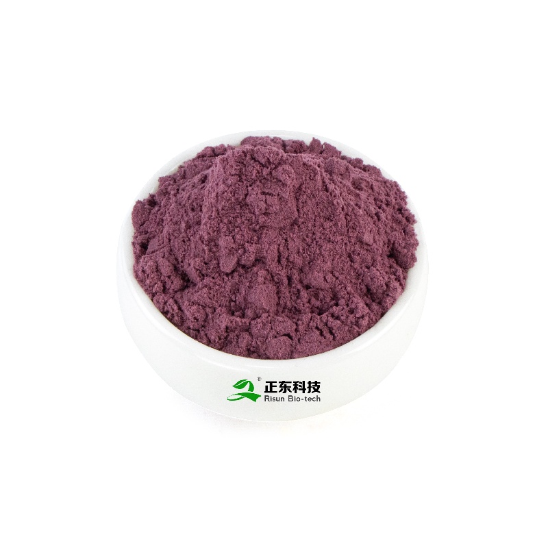 Mulberry Powder | Natural Anthocyanin Concentrated Juice Powder ...