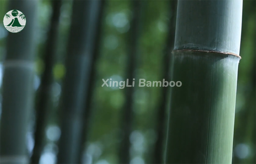 Bamboo Flooring, Bamboo Board, Bamboo Beam - Xingli Bamboo