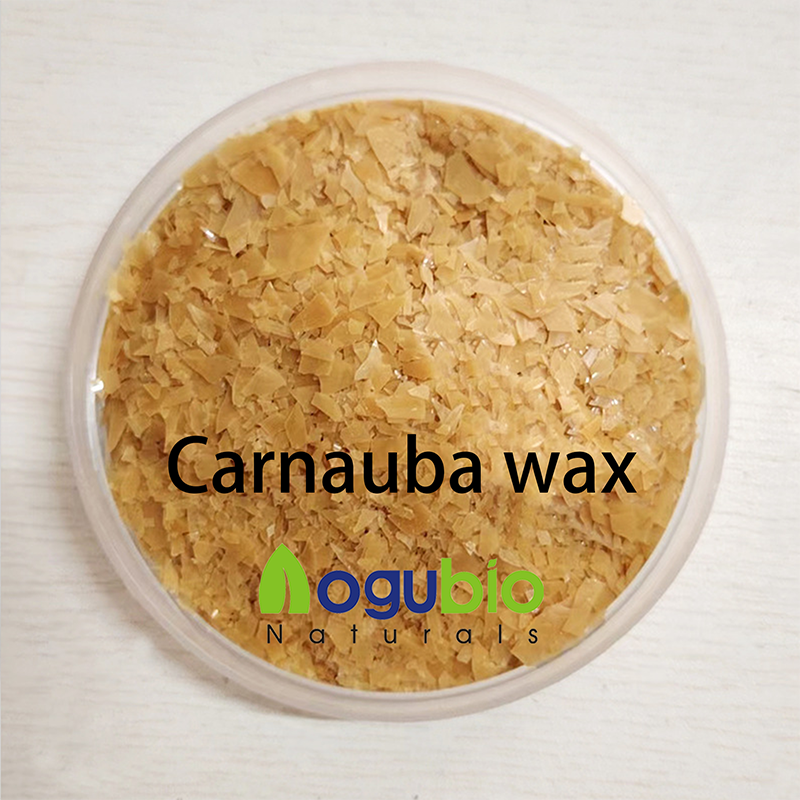 OEM Natural Plant-Based Carnauba Wax for Cosmetics Supplier, Factory ...