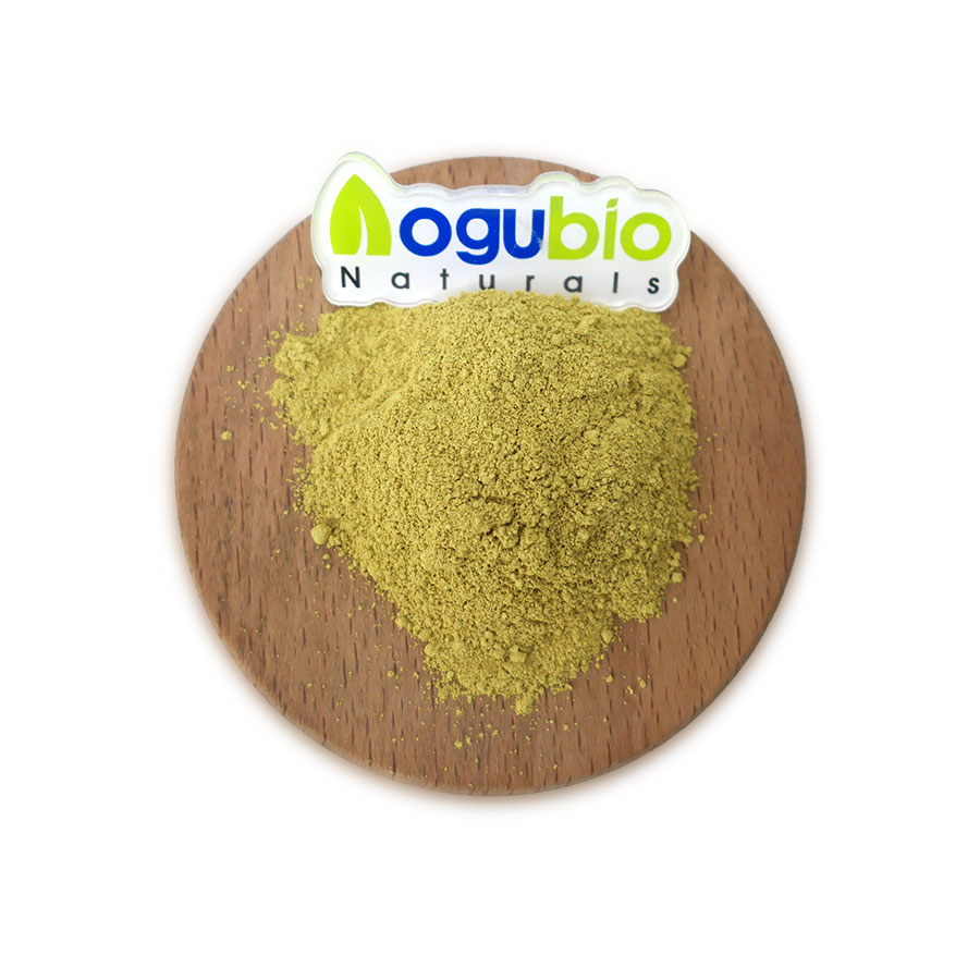 OEM CI 77492/Iron Oxide Yellow Supplier, Factory | Aogebio