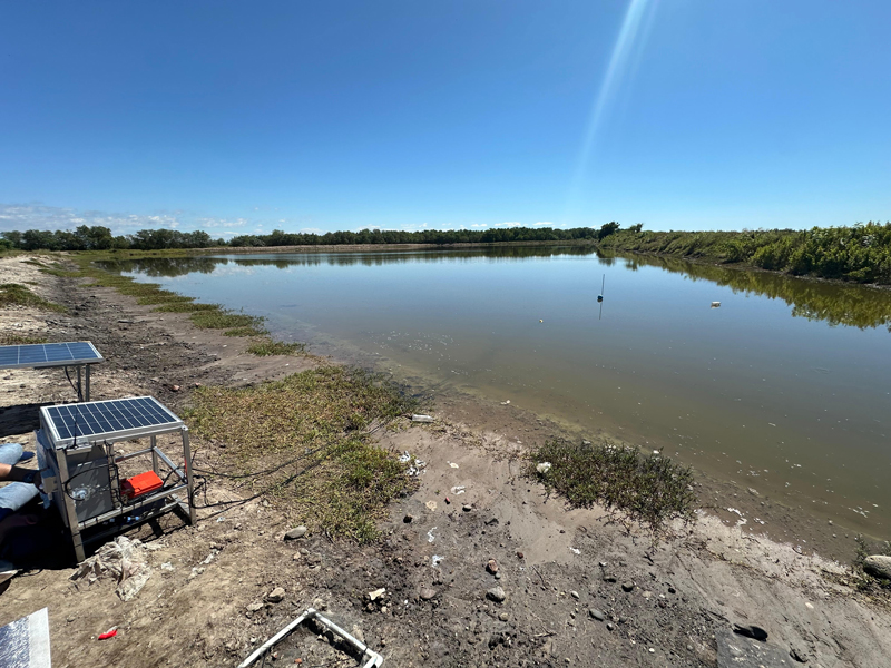 20241101 Honduras 4G Module Shrimp Pond Water Quality Online Monitoring