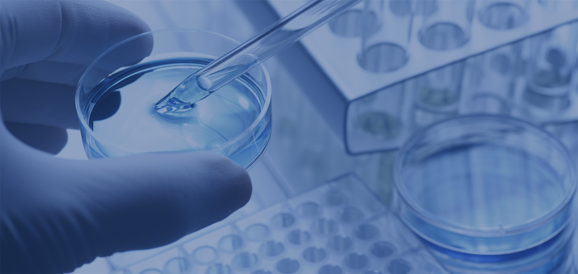 Water Detect Sensor, Water Quality Monitor, Oxygen Testers - Luminsens