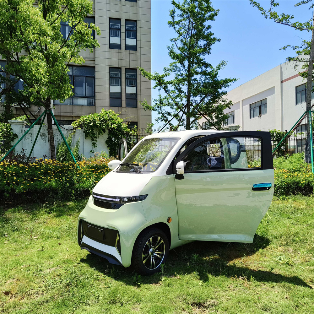 CE Certification EEC L6e Electric Cabin Car-J4 1.0m Version ...