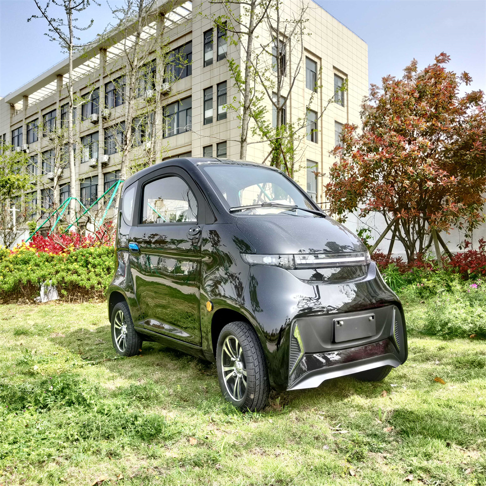 CE Certification EEC L6e Electric Cabin Car-J4 1.0m Version ...
