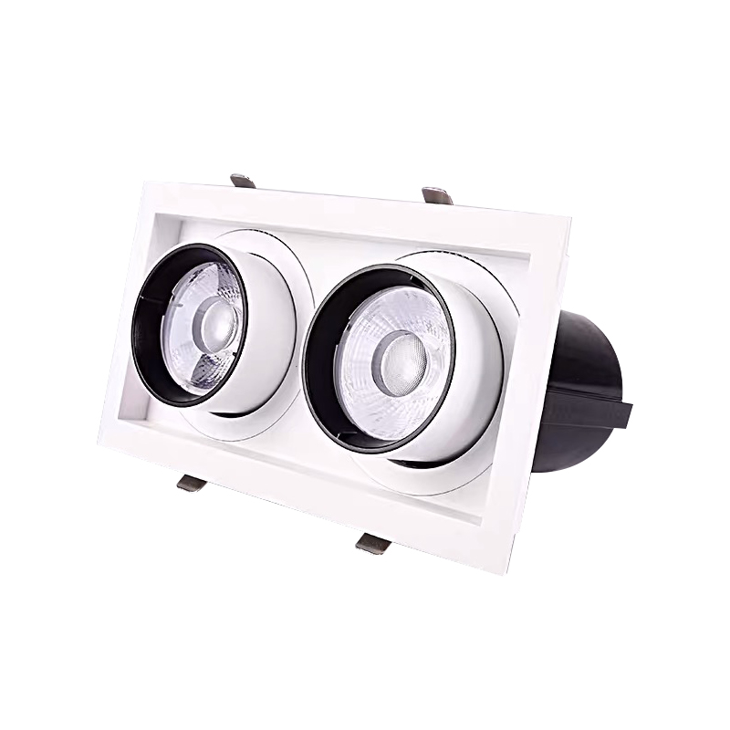 Custom Eyeball Recessed Light Led Double Head Downlight FT-GL04*2 ...