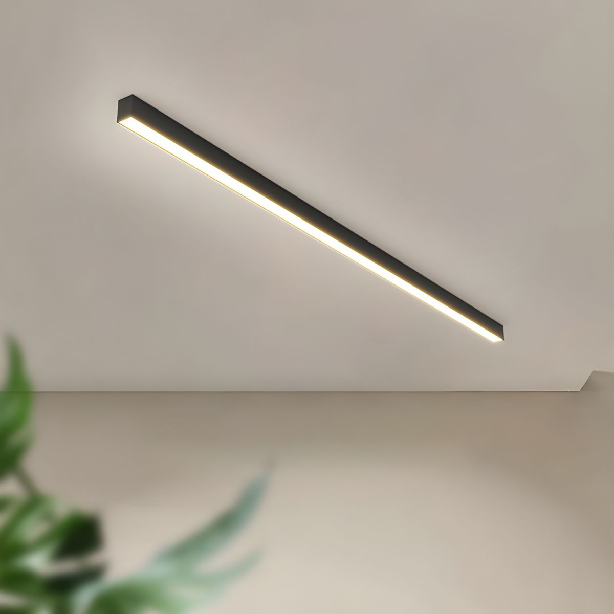 What is a linear light? - FEITL