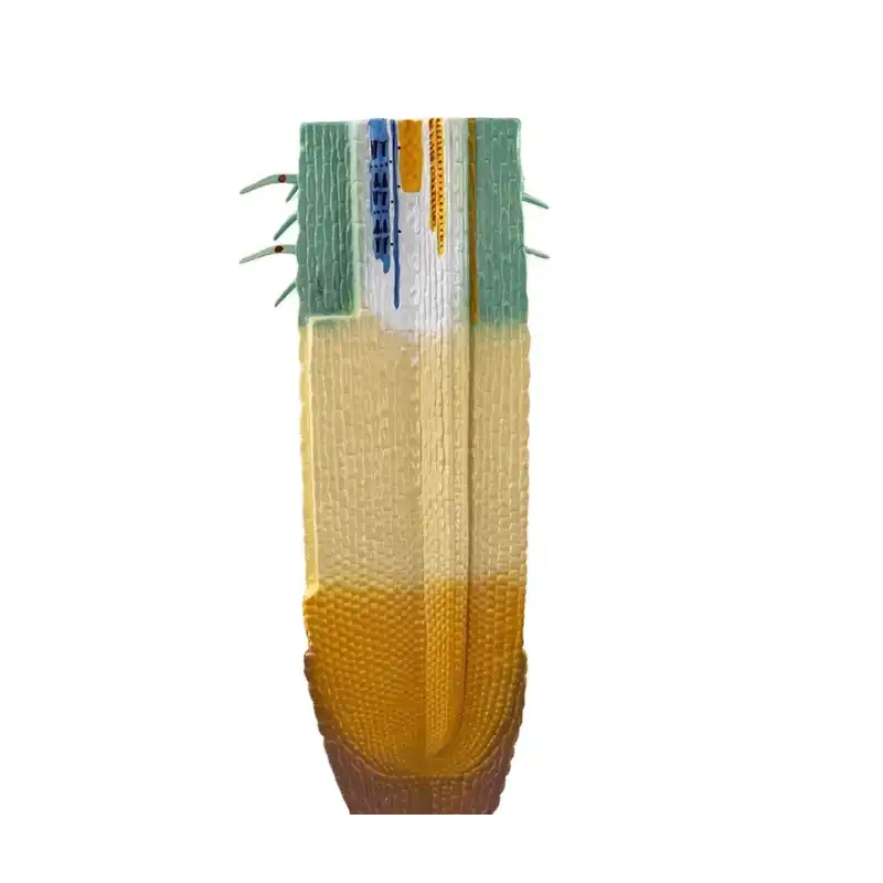 CE Certification Biology Teaching PVC Enlarged Plant Root Model Monocot ...